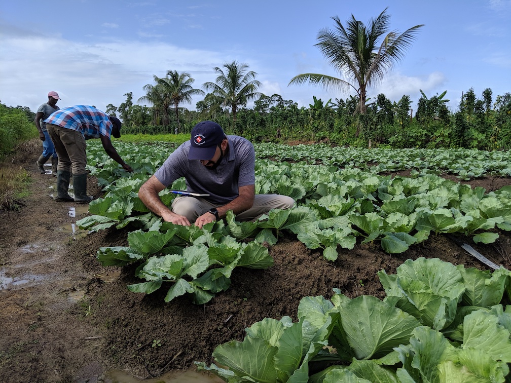 Guyana Farm Visits Day 3: Holy Fruits Batman! – Six-Legged Aggie